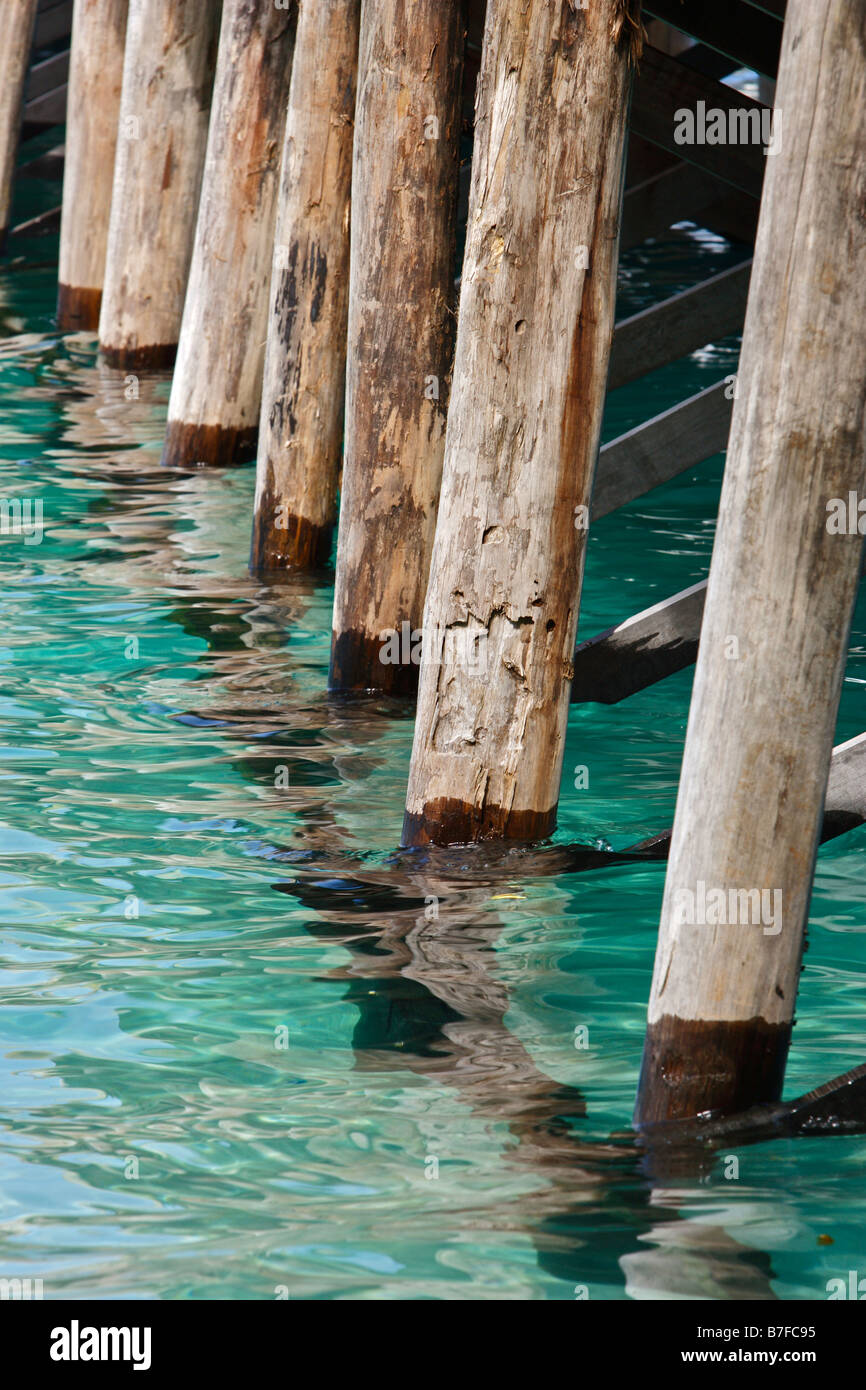 Wooden pier support stumps in clear water Stock Photo - Alamy
