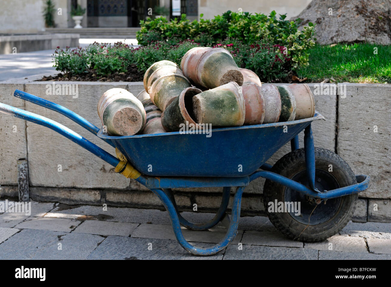blue wheel barrow filled with empty old terracotta pot orange colour ...