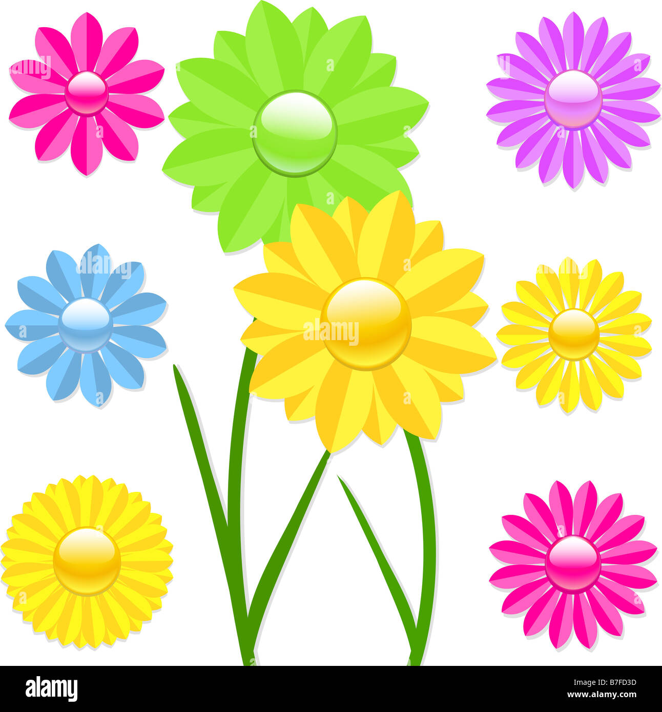Brightly coloured daisy flowers Stock Photo - Alamy