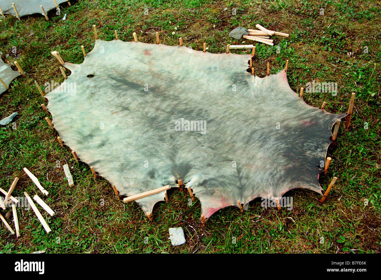 Native american hunting tradition hi-res stock photography and images ...