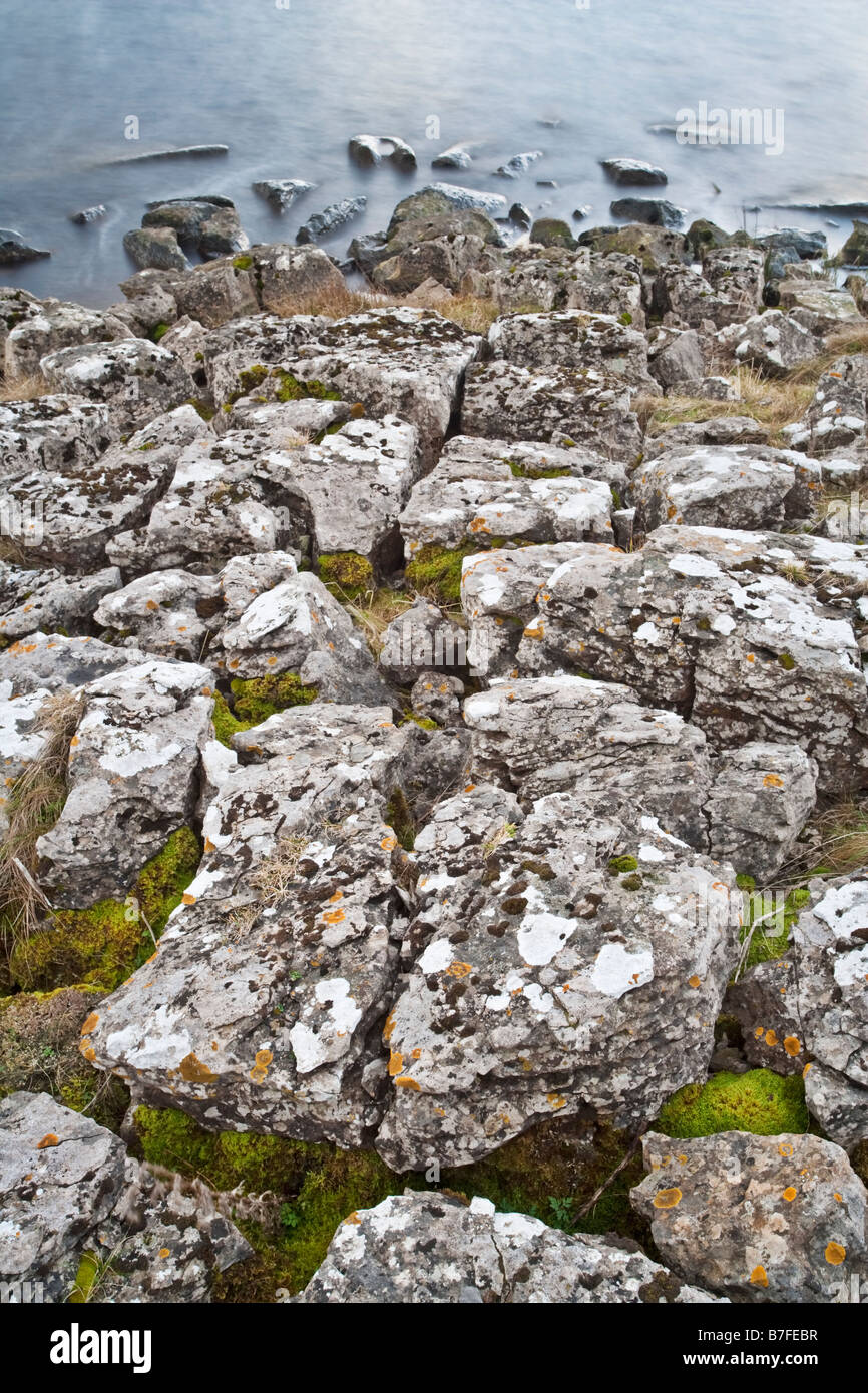 The fractured rocks of a limestone pavement on the shores of Broomlee ...