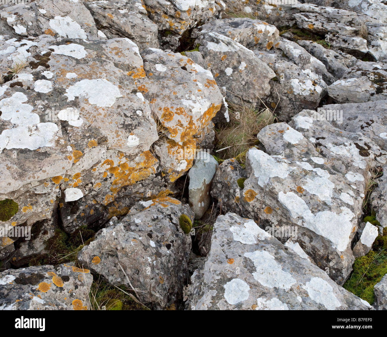 Fractured limestone hi-res stock photography and images - Alamy