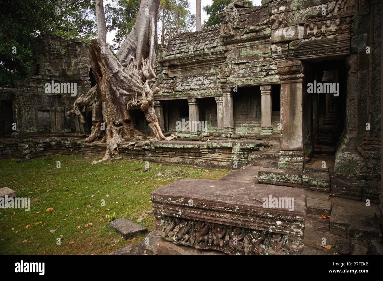 Angor wat temples hi-res stock photography and images - Alamy