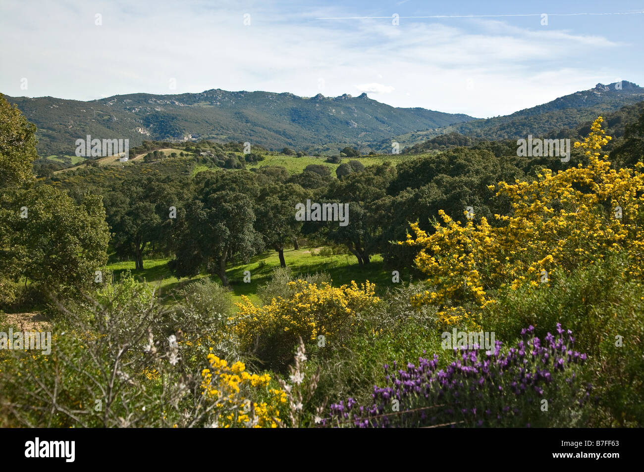 landscape Sardinia Italy Stock Photo - Alamy