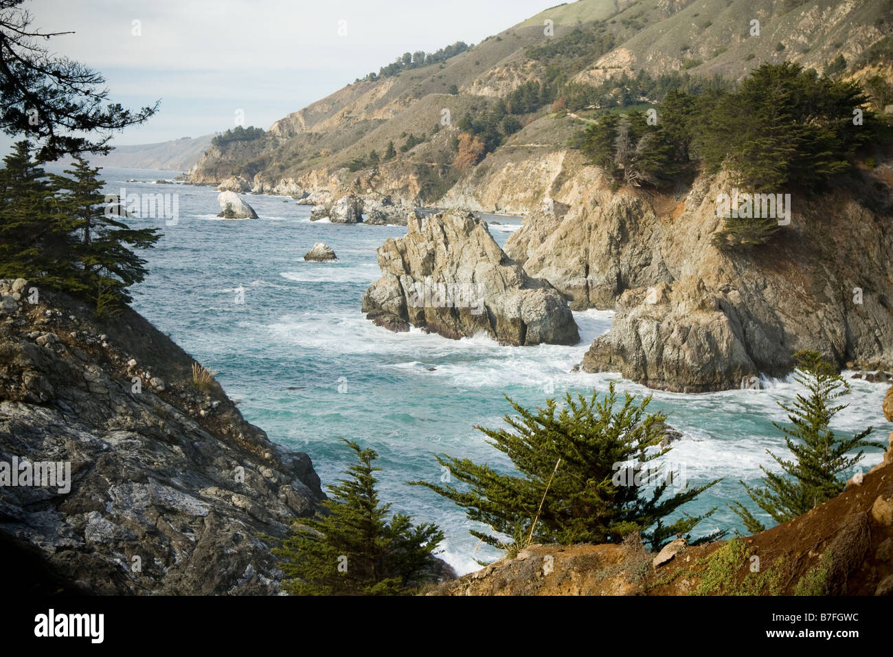 Pacific Coast, Julia Pfeiffer Burns State Park Stock Photo - Alamy
