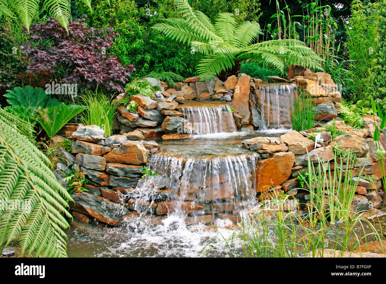 WELL PLANTED WATERFALL WITH FERNS Stock Photo - Alamy
