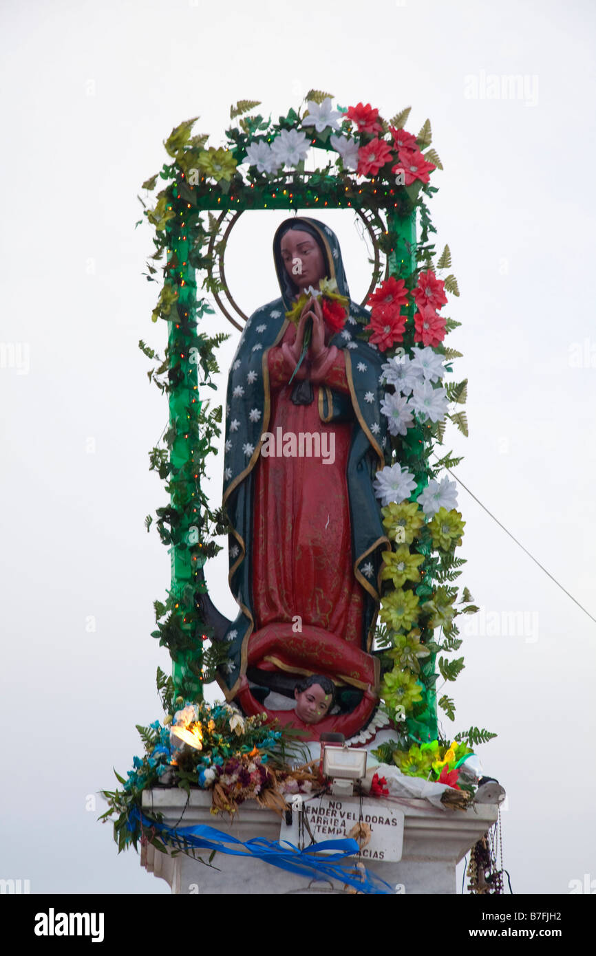 Mexican Virgin Mary Skull