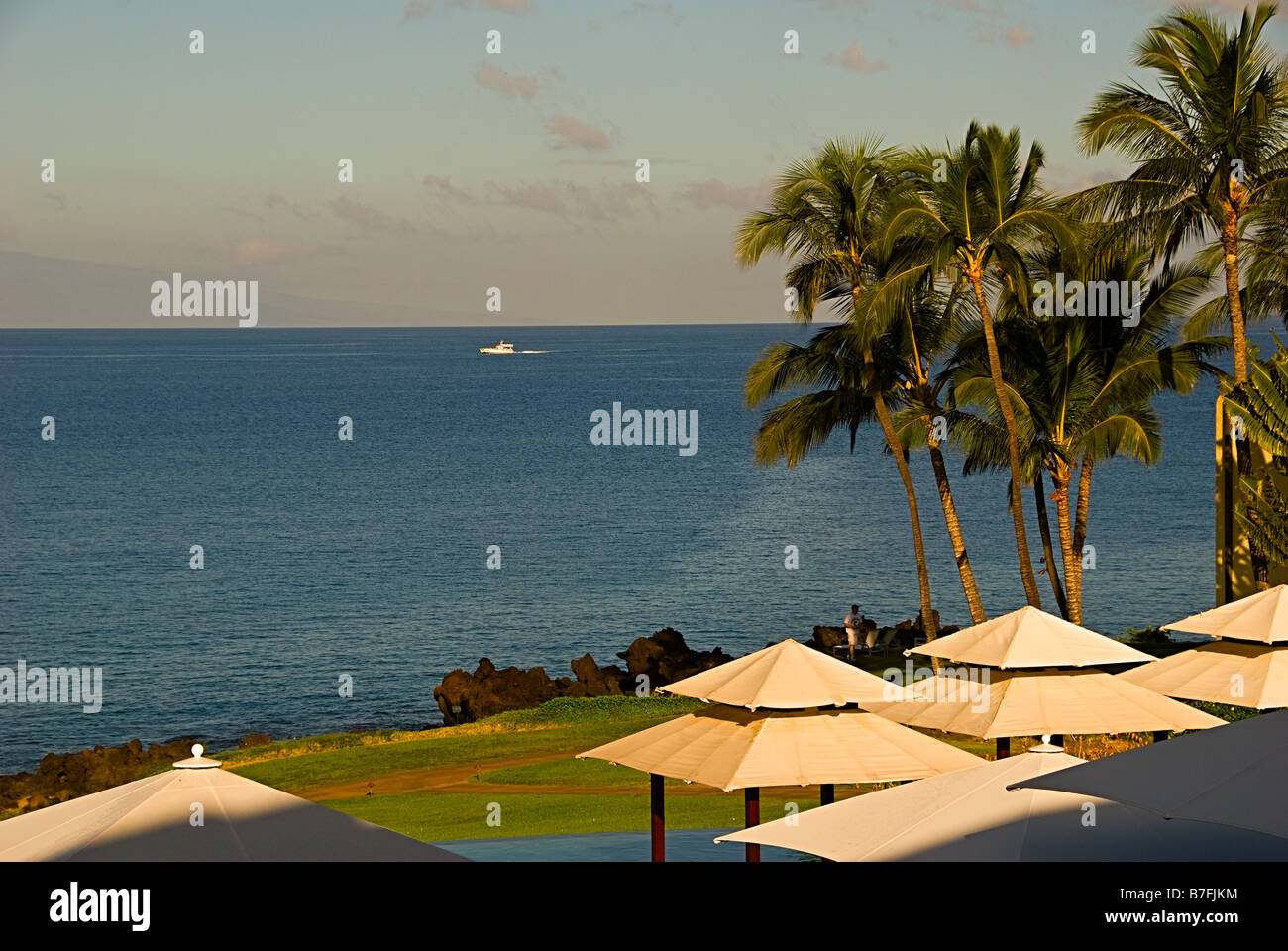 white topped cabanas overlooking palm tress and blue water of pacific ...