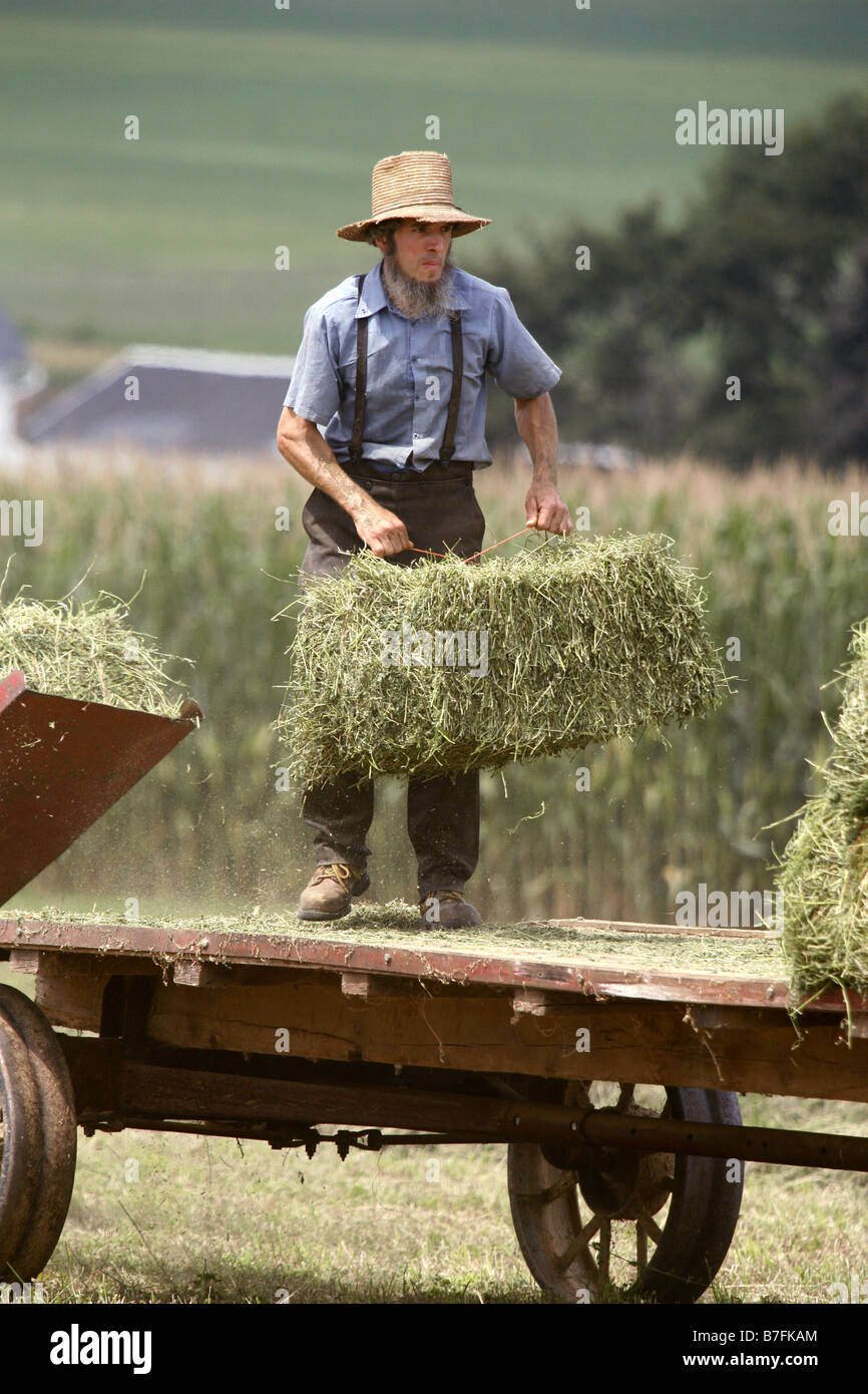 Amish man hi-res stock photography and images - Alamy