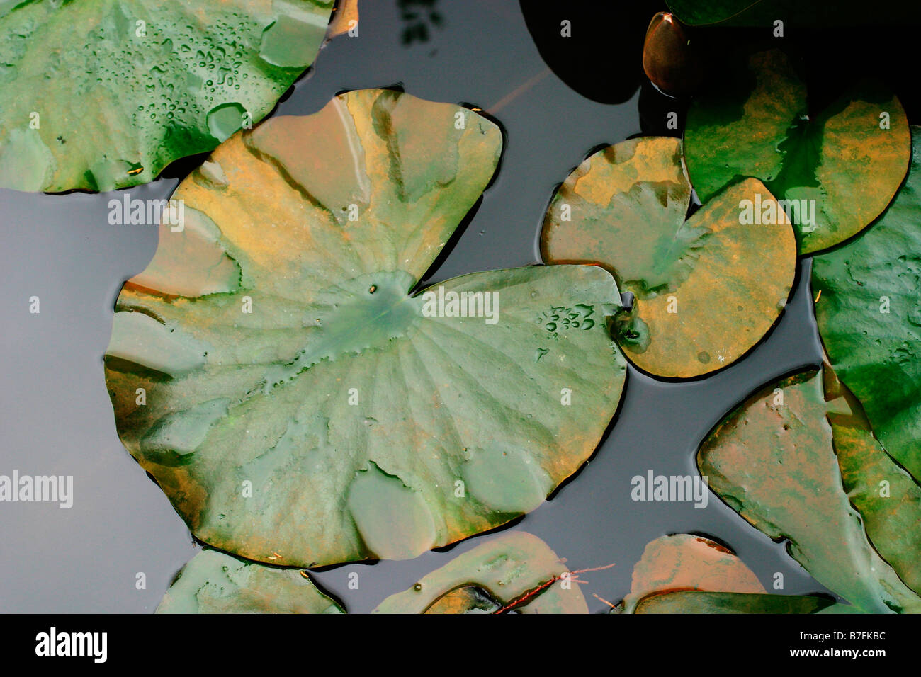 Rust deposits hi-res stock photography and images - Alamy