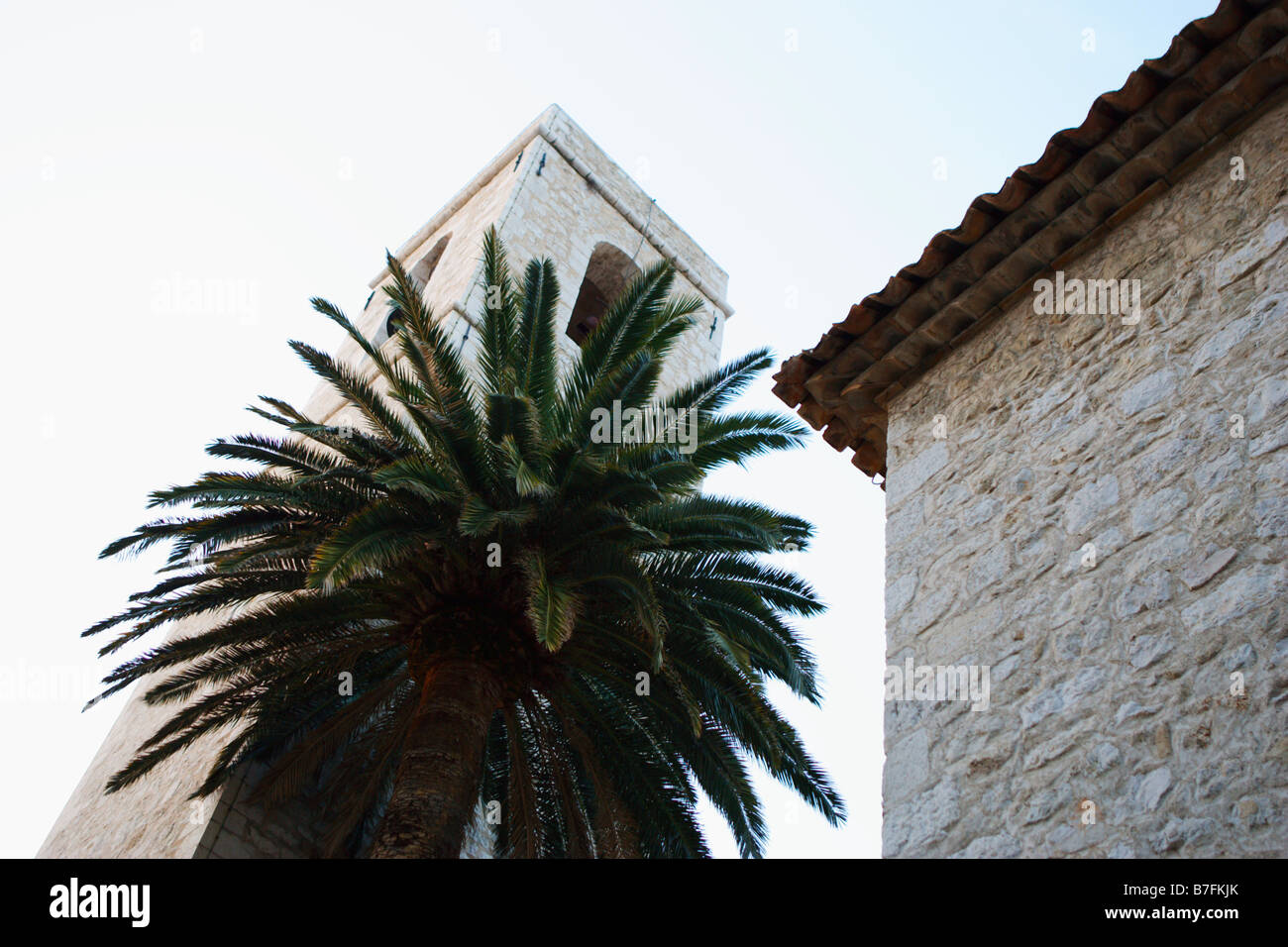 Bell tower with palm tree Stock Photo - Alamy