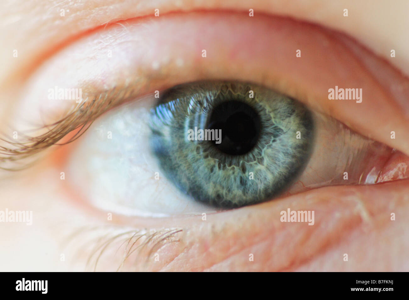 Beautiful blue eye macro Stock Photo - Alamy