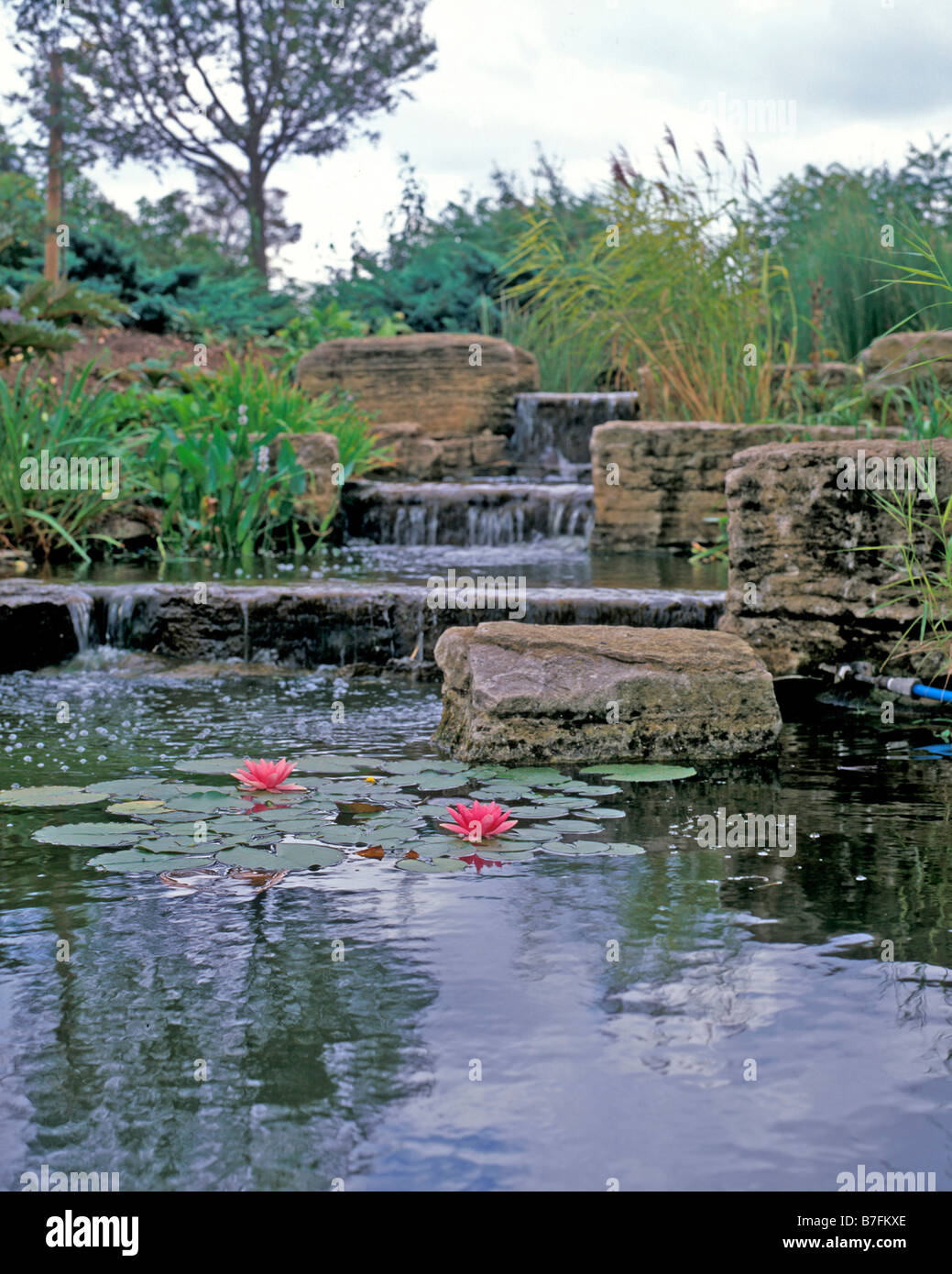 POND WITH WATERFALL Stock Photo - Alamy