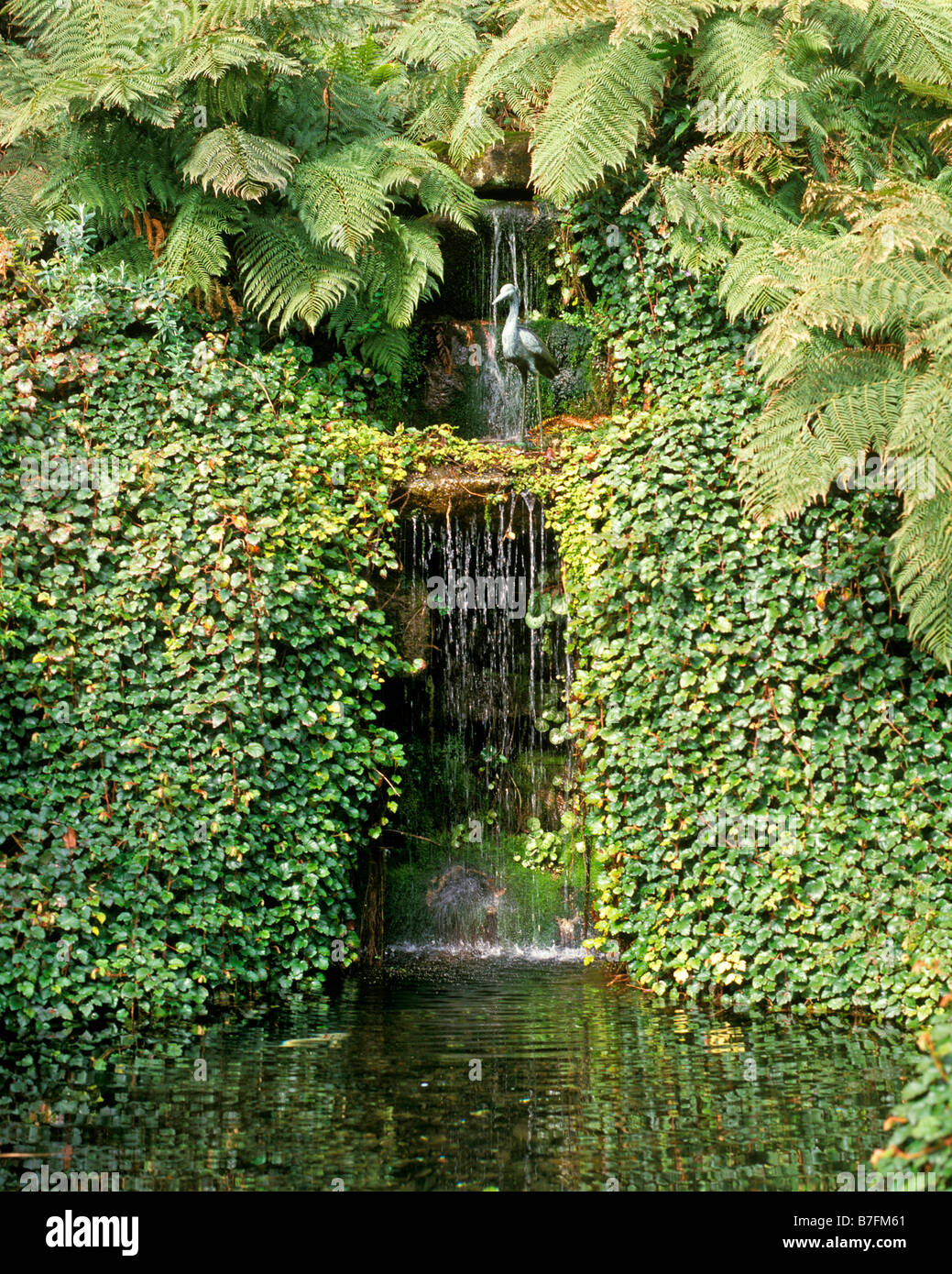 WATERFALL CASCADES INTO POOL FLANKED BY IVY AND FERNS Stock Photo - Alamy