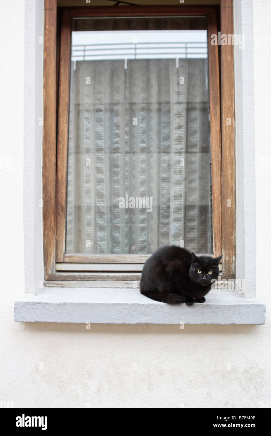 Black cat sitting on white window ledge Stock Photo - Alamy
