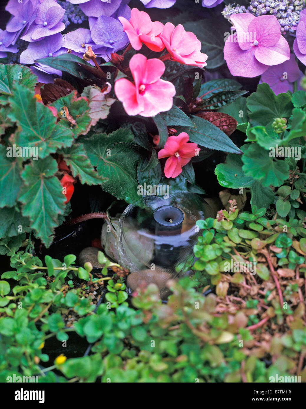 Decorative water feature hi-res stock photography and images - Alamy