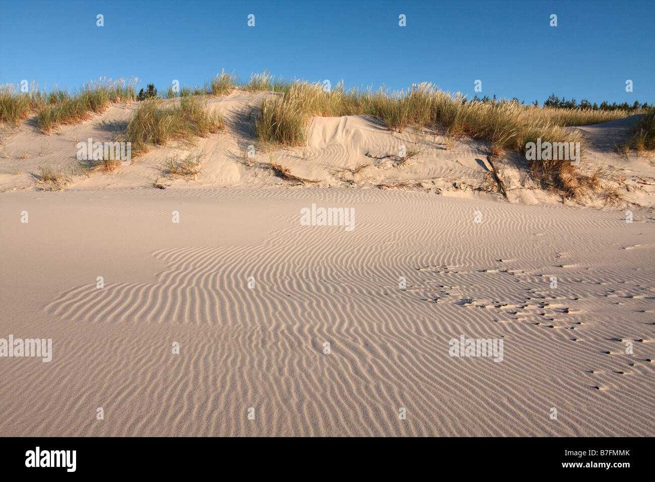 Duneland beach hi-res stock photography and images - Alamy