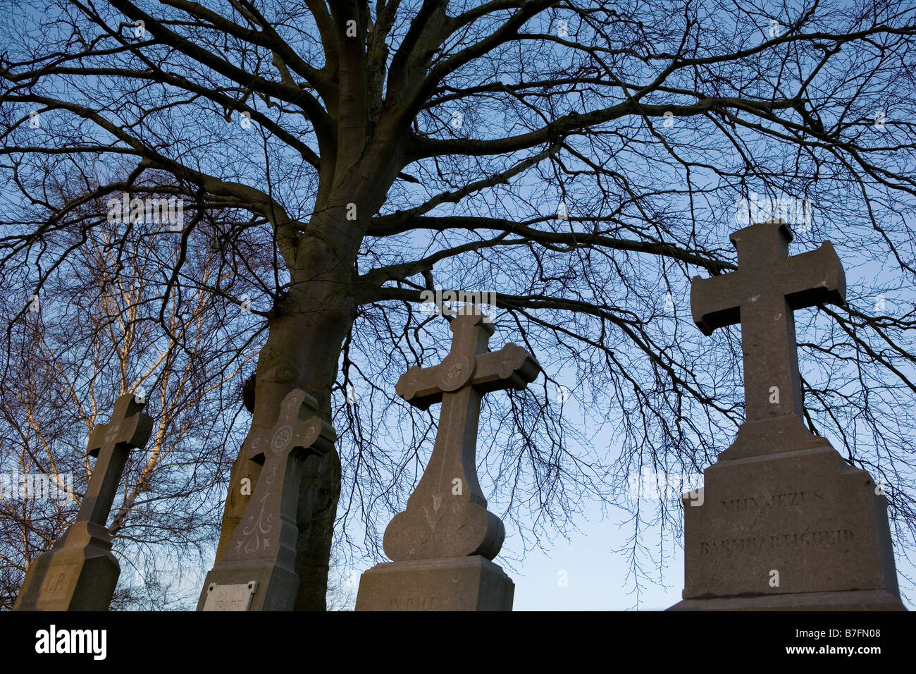 old gravestones on cementery Stock Photo - Alamy