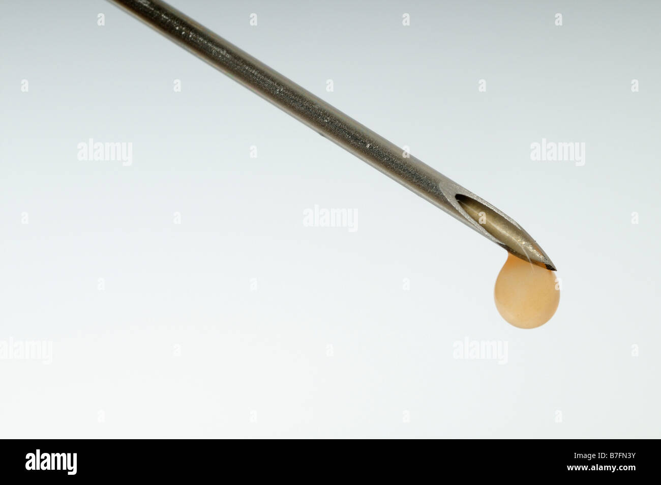 Stock photo of a hyperdermic needle with a droplet of liquid just ...