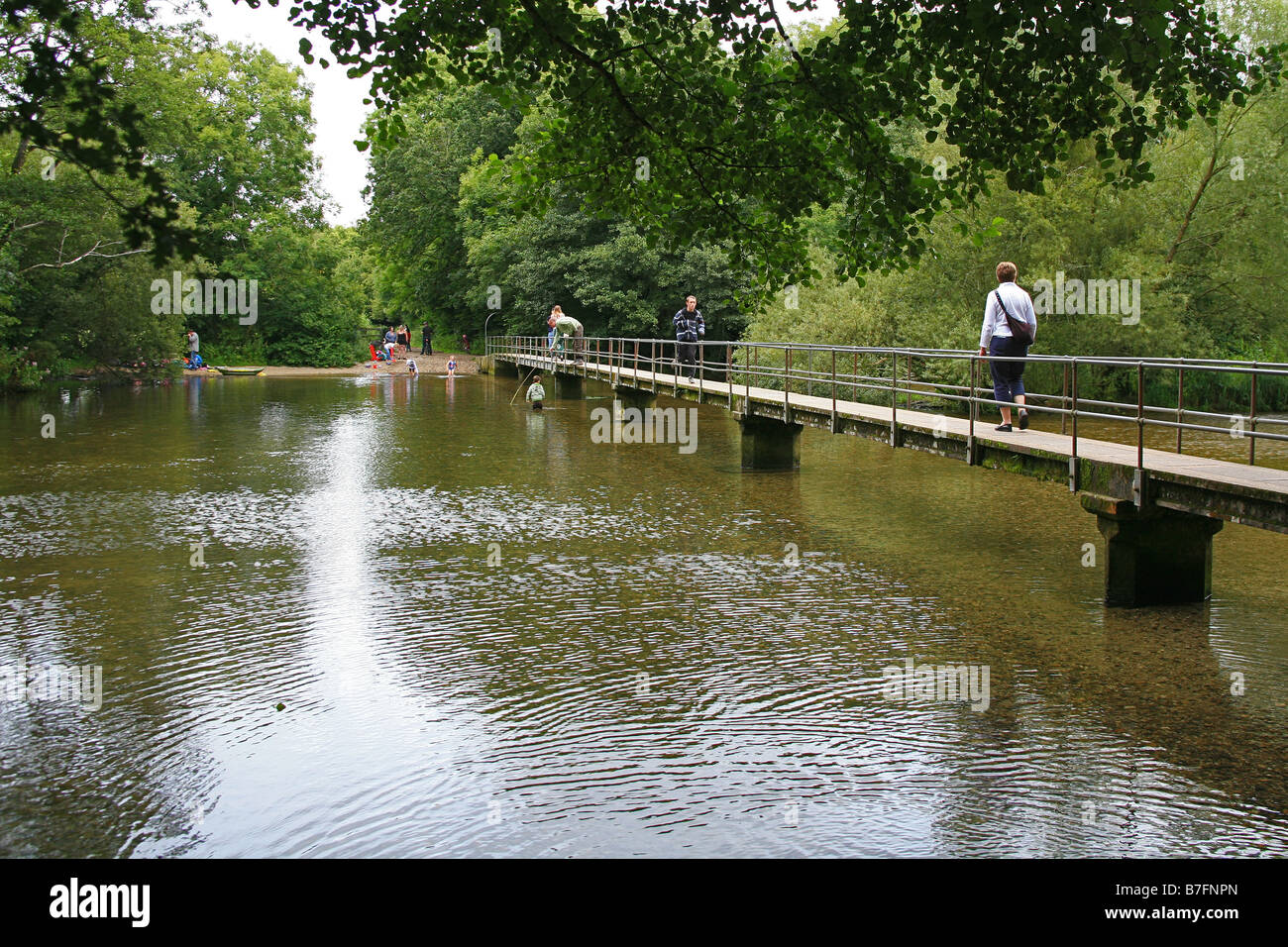 Ford and footbridge across the River Frome - the longest ford in ...