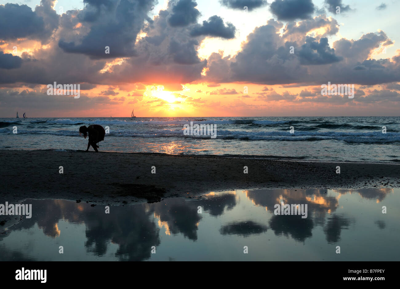 Collecting shells at the beach hi-res stock photography and images - Alamy