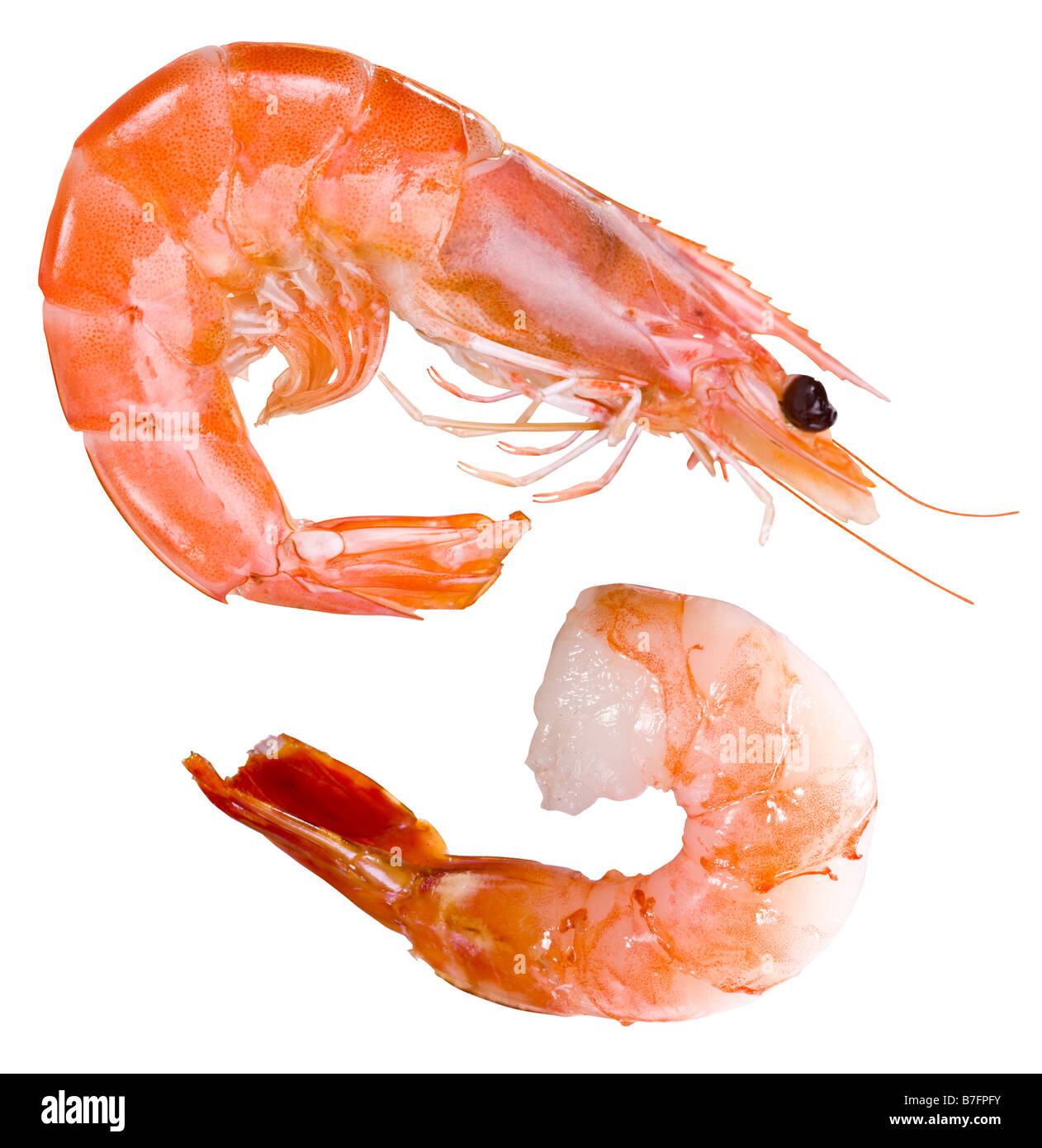 Shrimp shell hi-res stock photography and images - Alamy