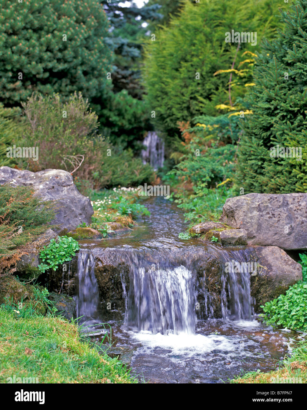 WATERFALL WITH CONIFERS AND SHRUBS IN SPRING Stock Photo - Alamy
