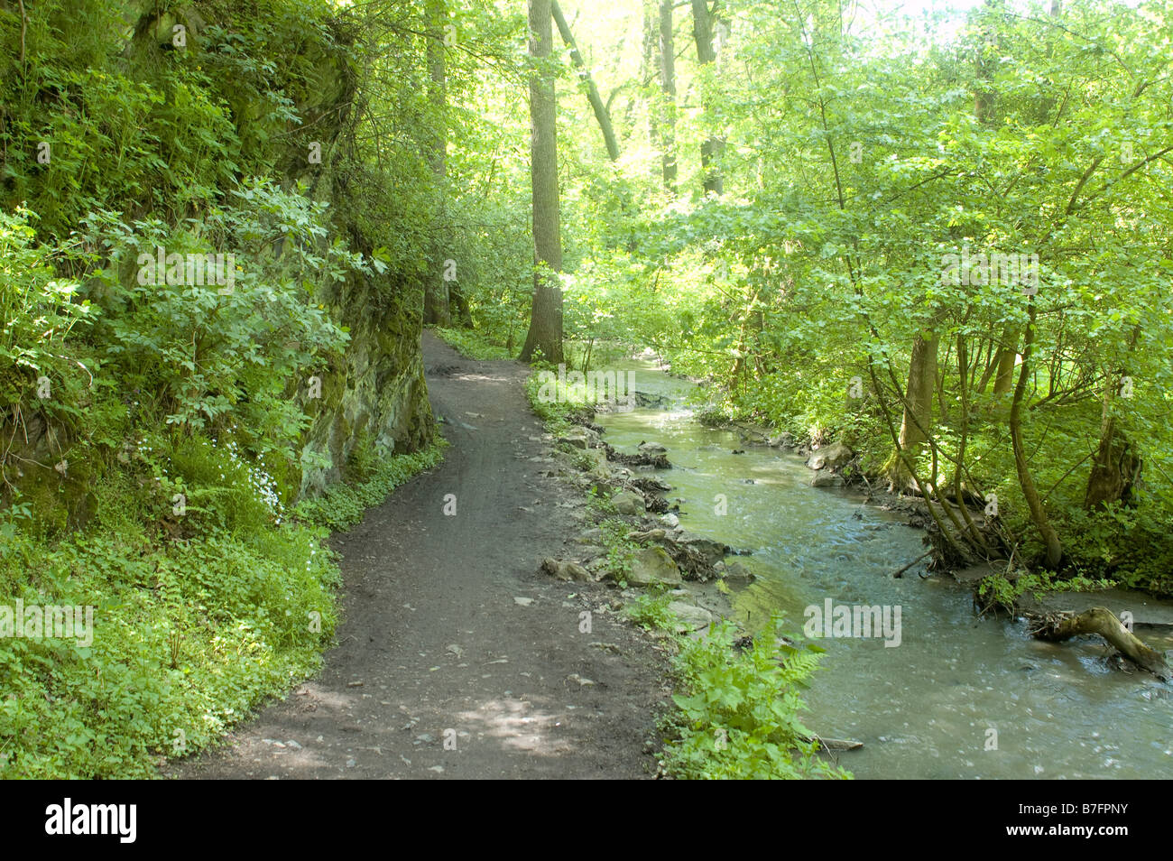 Sarka hi-res stock photography and images - Alamy