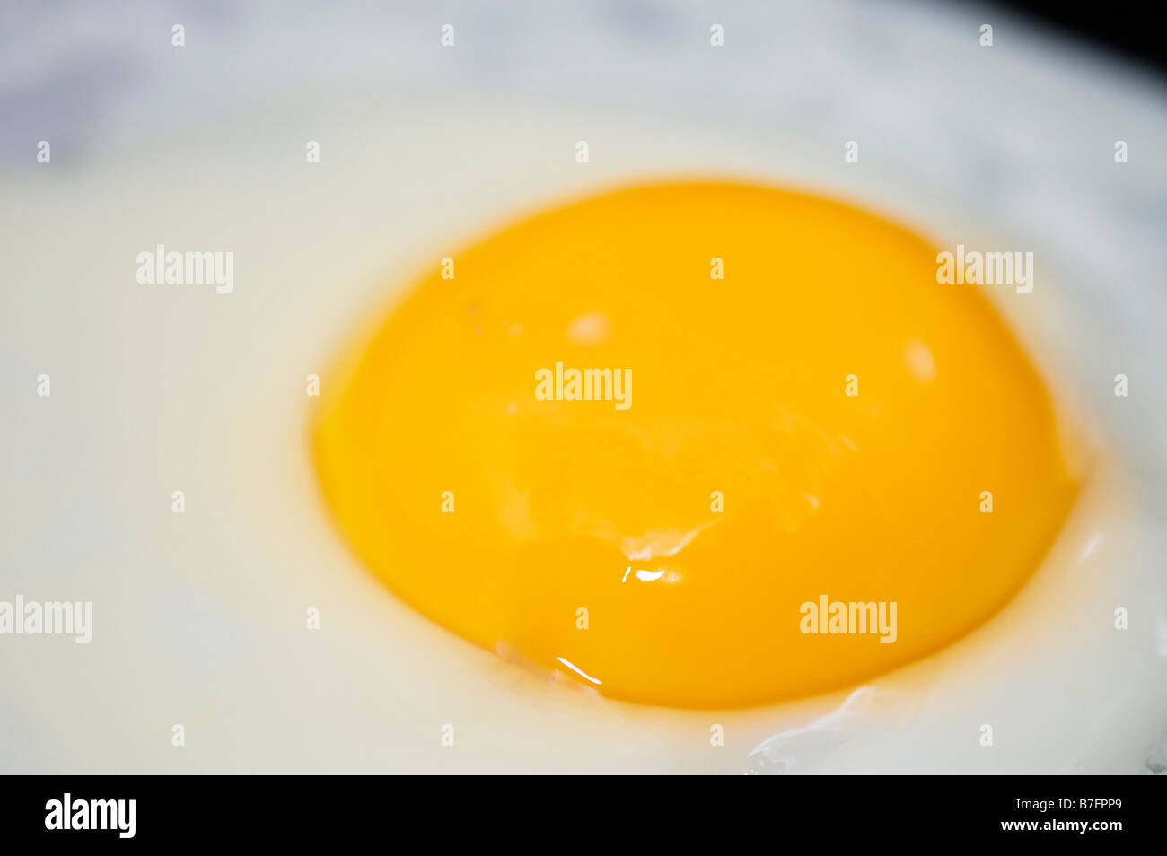 food fried egg on teflon pane Stock Photo - Alamy