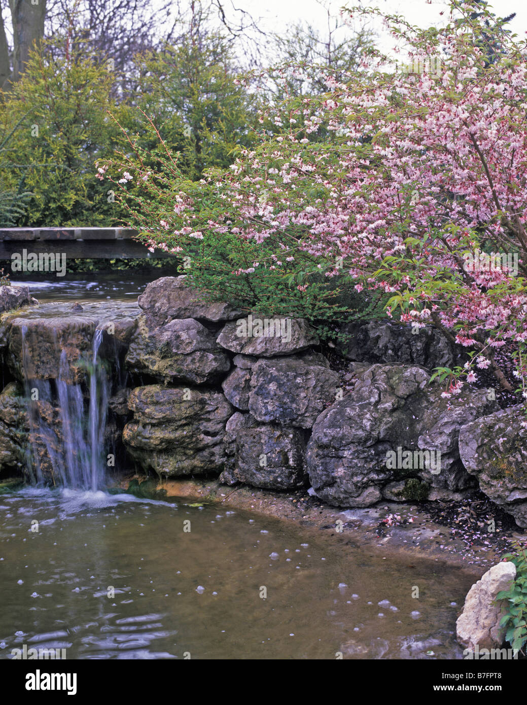 WATERFALL WITH FLOWERING CHERRY Stock Photo - Alamy
