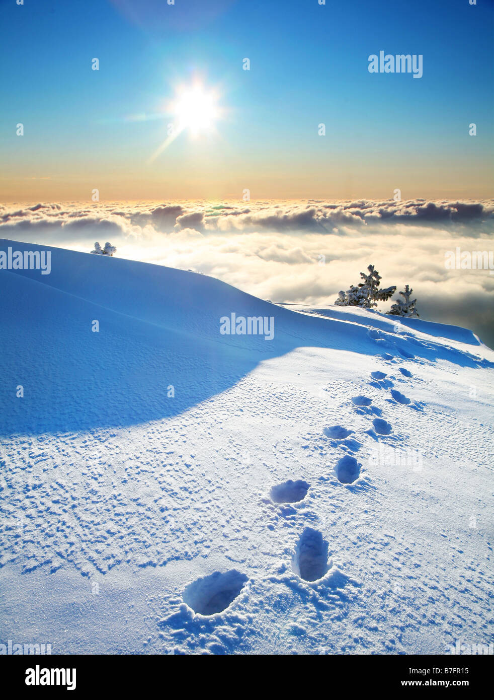 footprints on a snow Stock Photo - Alamy