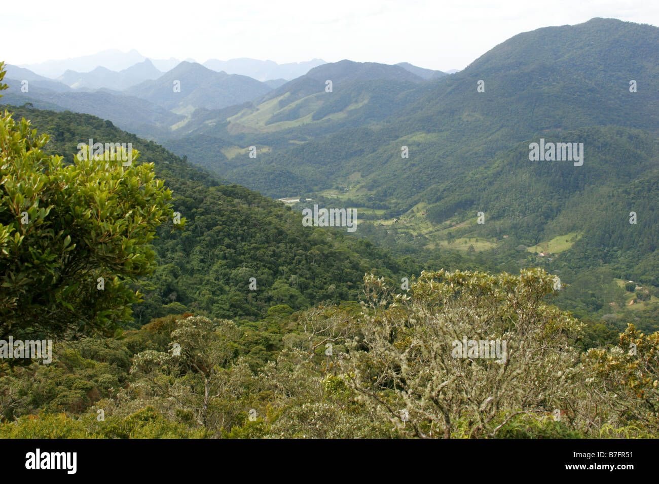 Macae hi-res stock photography and images - Alamy