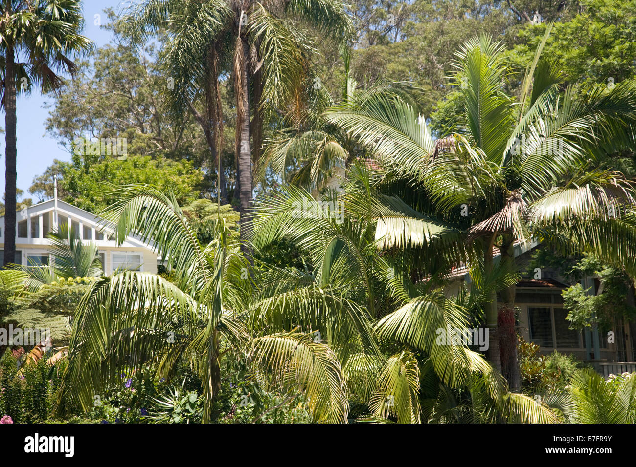 House hidden trees hi-res stock photography and images - Alamy