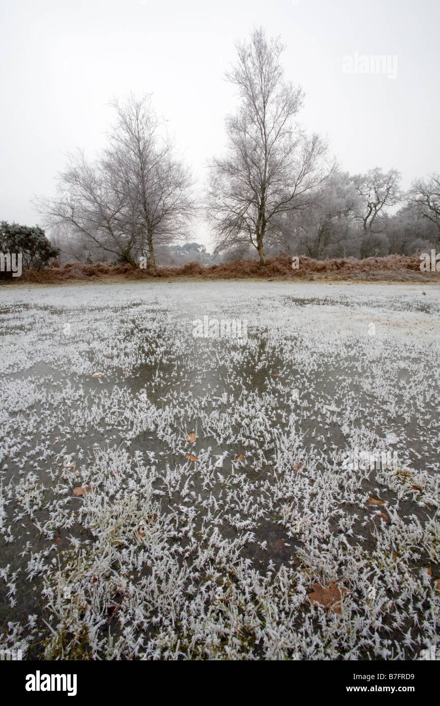 Hoar frost uk landscape hi-res stock photography and images - Alamy