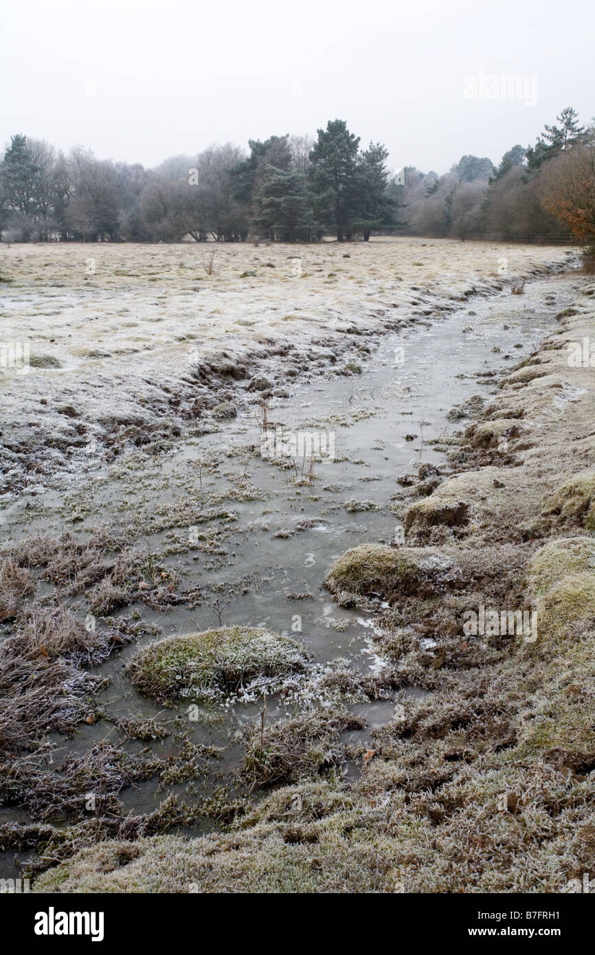 Hoar frozen hi-res stock photography and images - Alamy
