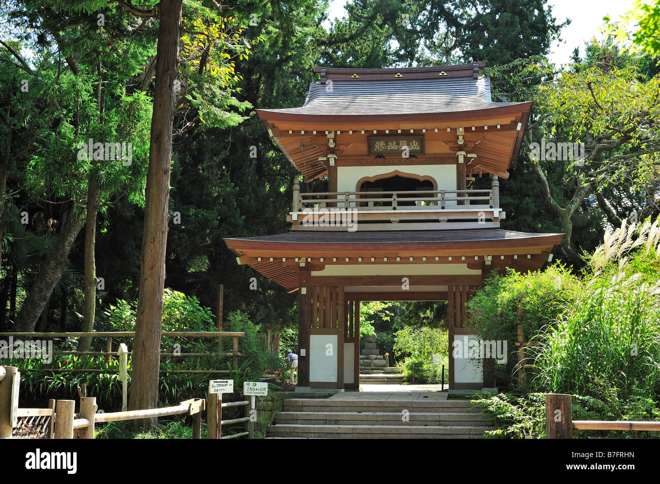 Jochi Ji High Resolution Stock Photography and Images - Alamy