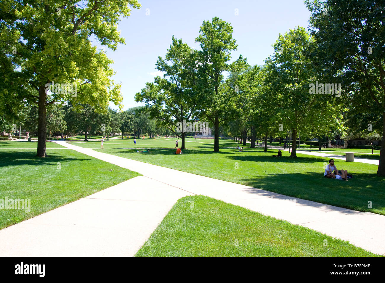 University of illinois campus quad hi-res stock photography and images ...