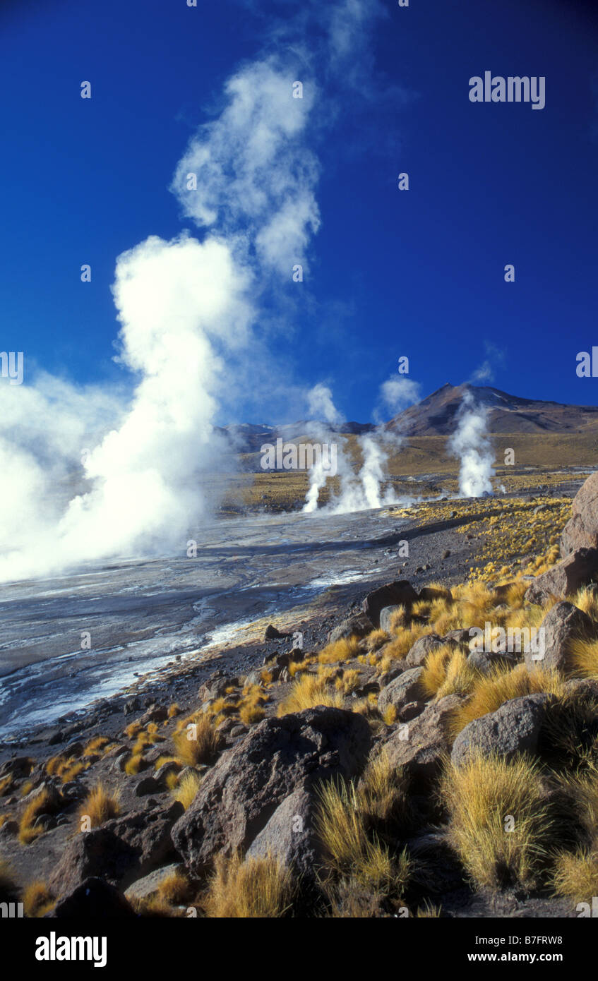 el tatio Geyser Field Los Géiseres del Tatio atacama desert chile Stock ...