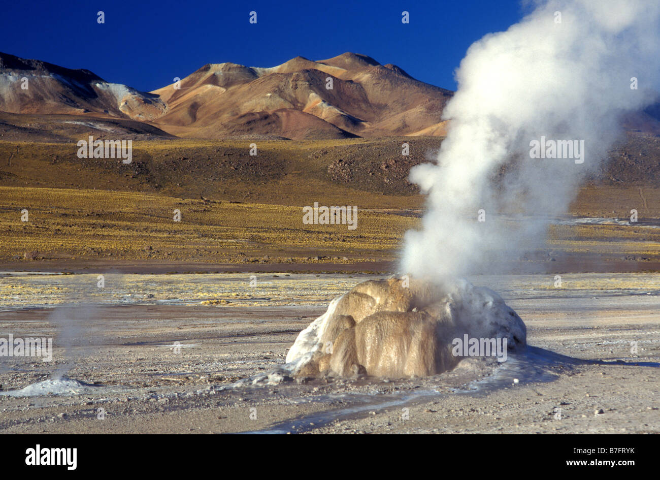 el tatio Geyser Field Los Géiseres del Tatio atacama desert chile Stock ...