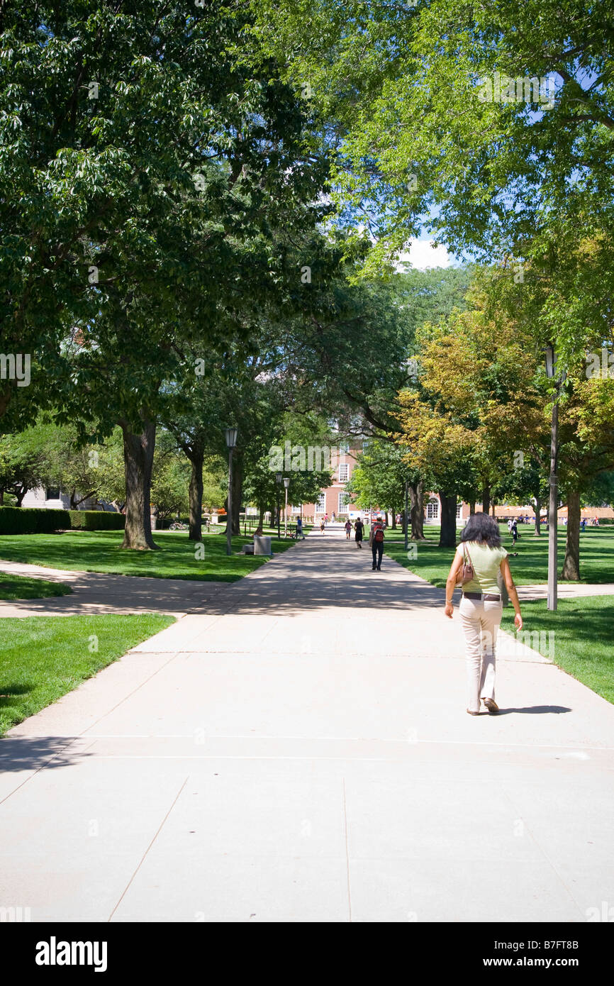 University of illinois campus quad hi-res stock photography and images ...