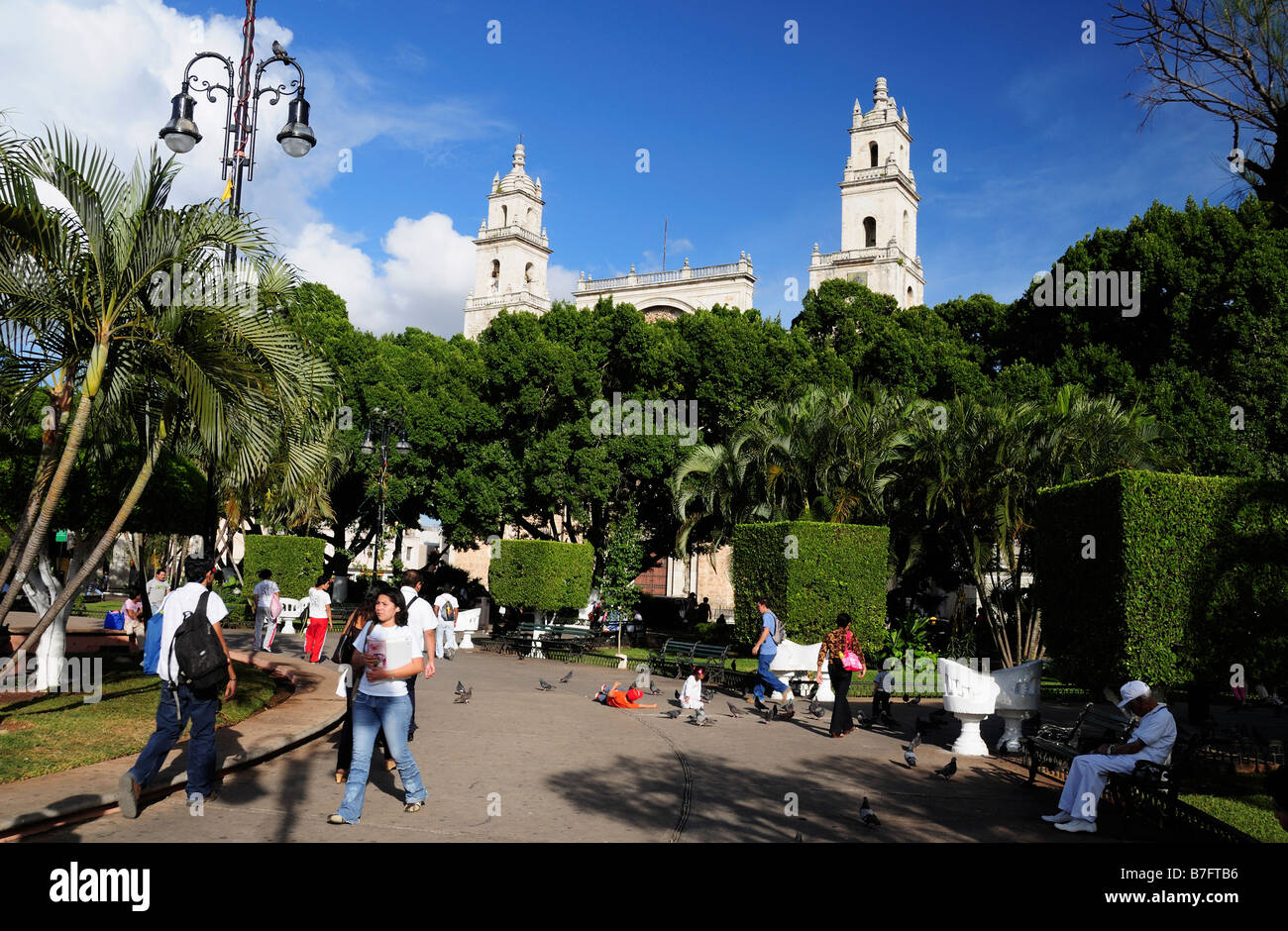 Catedral de merida mexico hi-res stock photography and images - Alamy