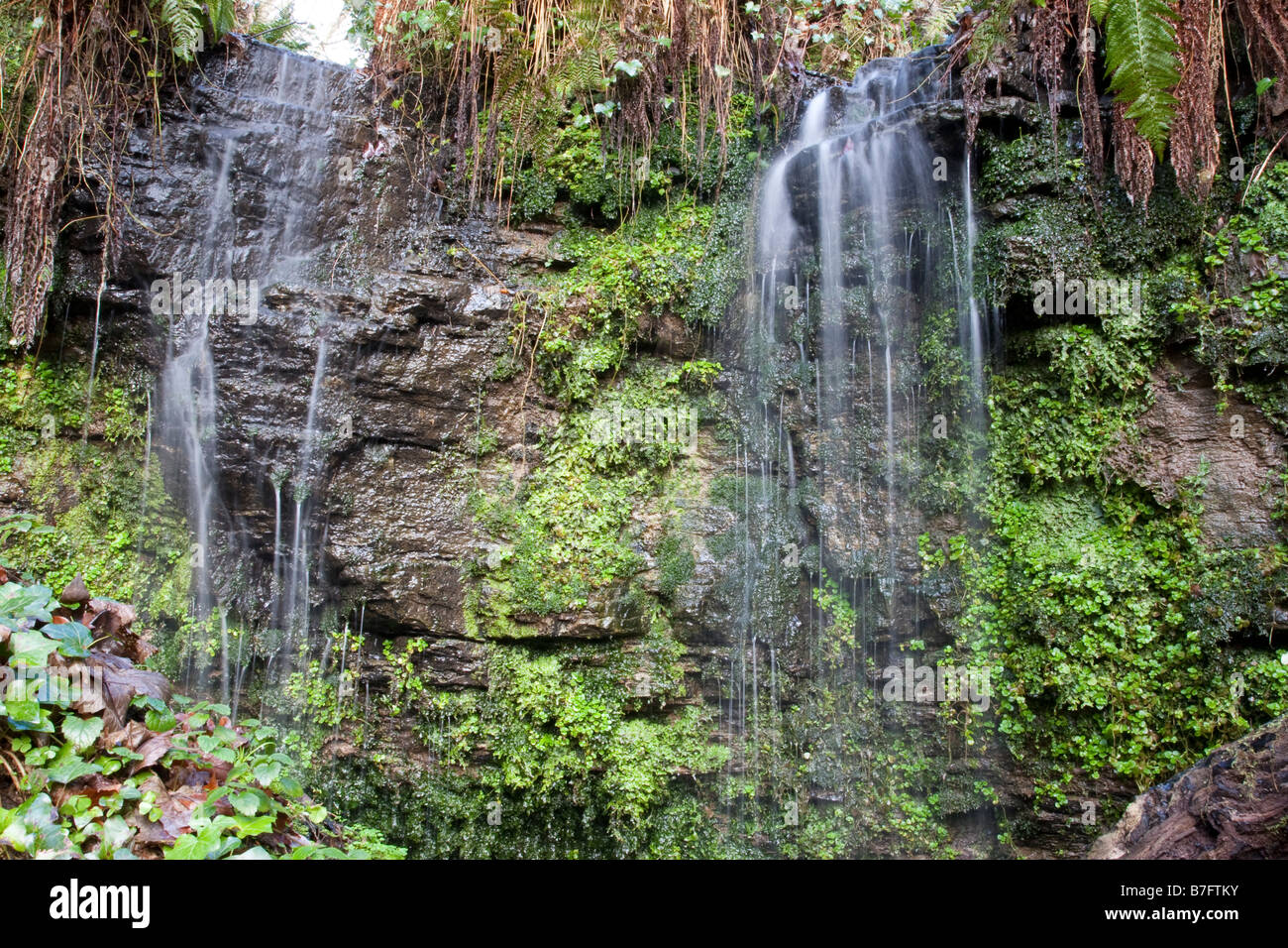The Dripping Well, Fairlight Glen Stock Photo - Alamy