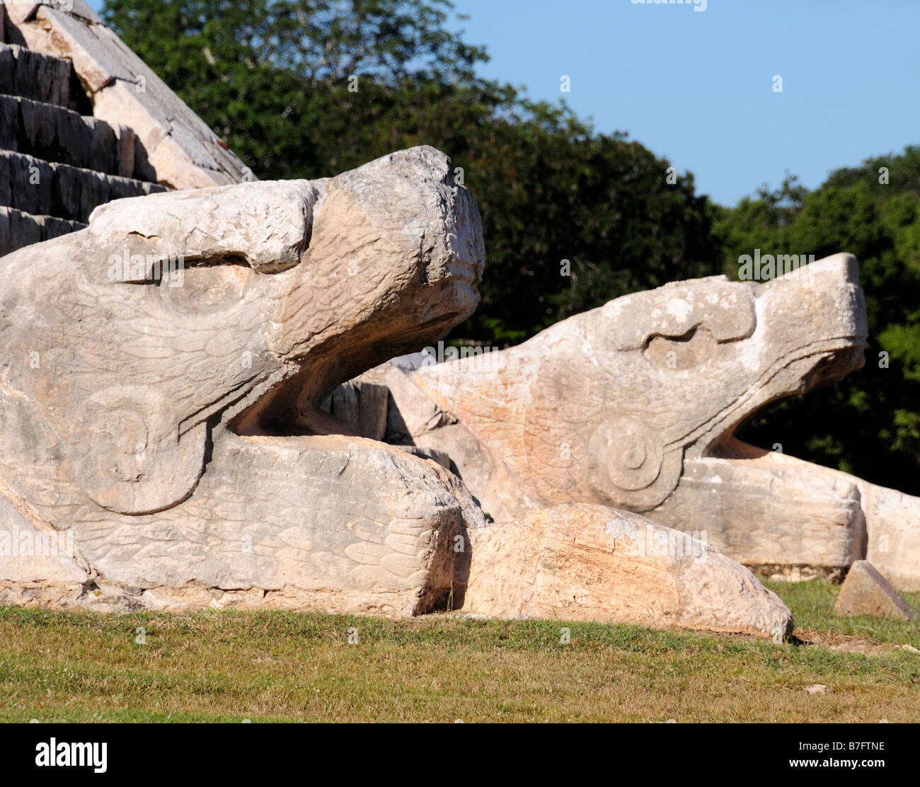 Stone serpent heads at foot of Pyramid of Kukulcan, Chichen Itza Stock ...