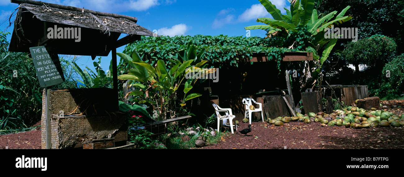 Coconut stall Maui Hawaiian Islands USA Stock Photo - Alamy