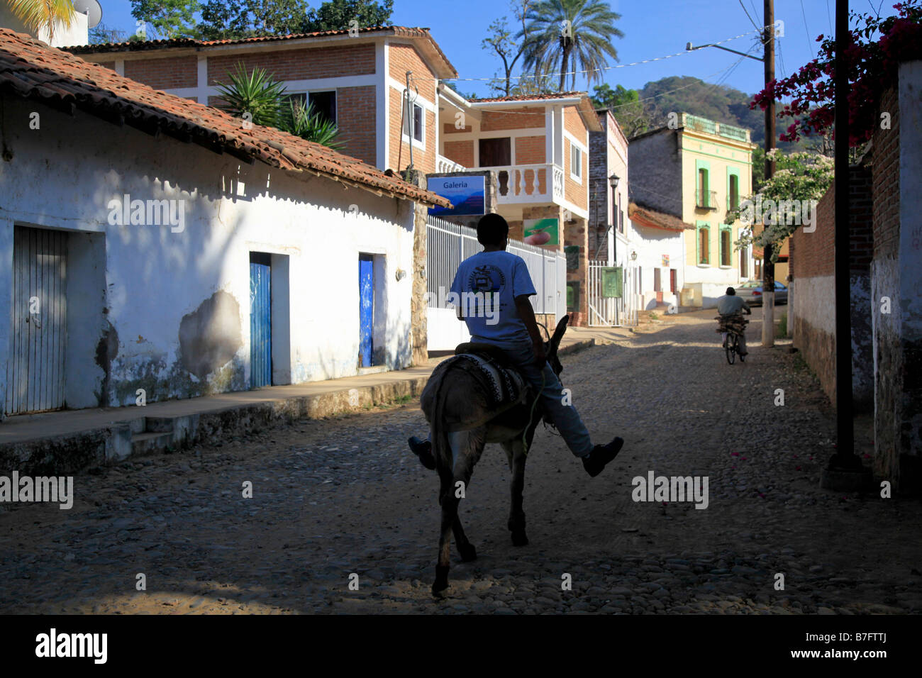 Mexico sierra madre donkey hi-res stock photography and images - Alamy