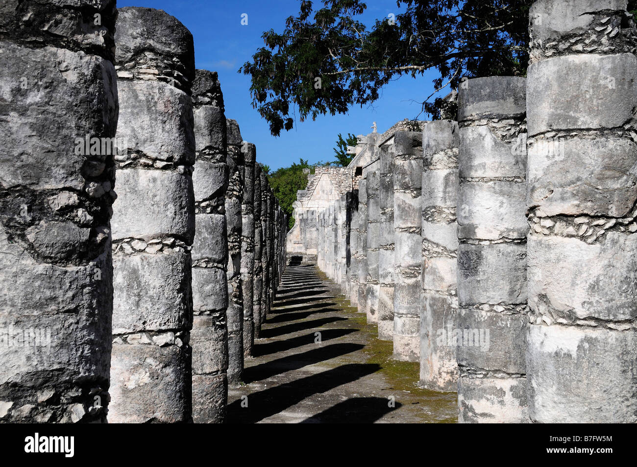 Grupo de mil columnas hi-res stock photography and images - Alamy