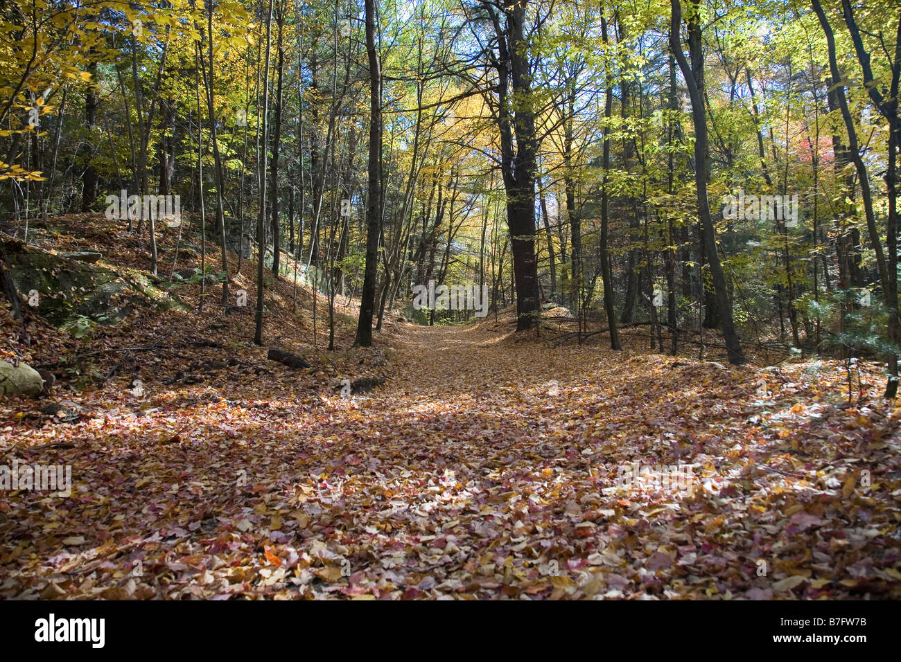 Inviting walking trail hi-res stock photography and images - Alamy