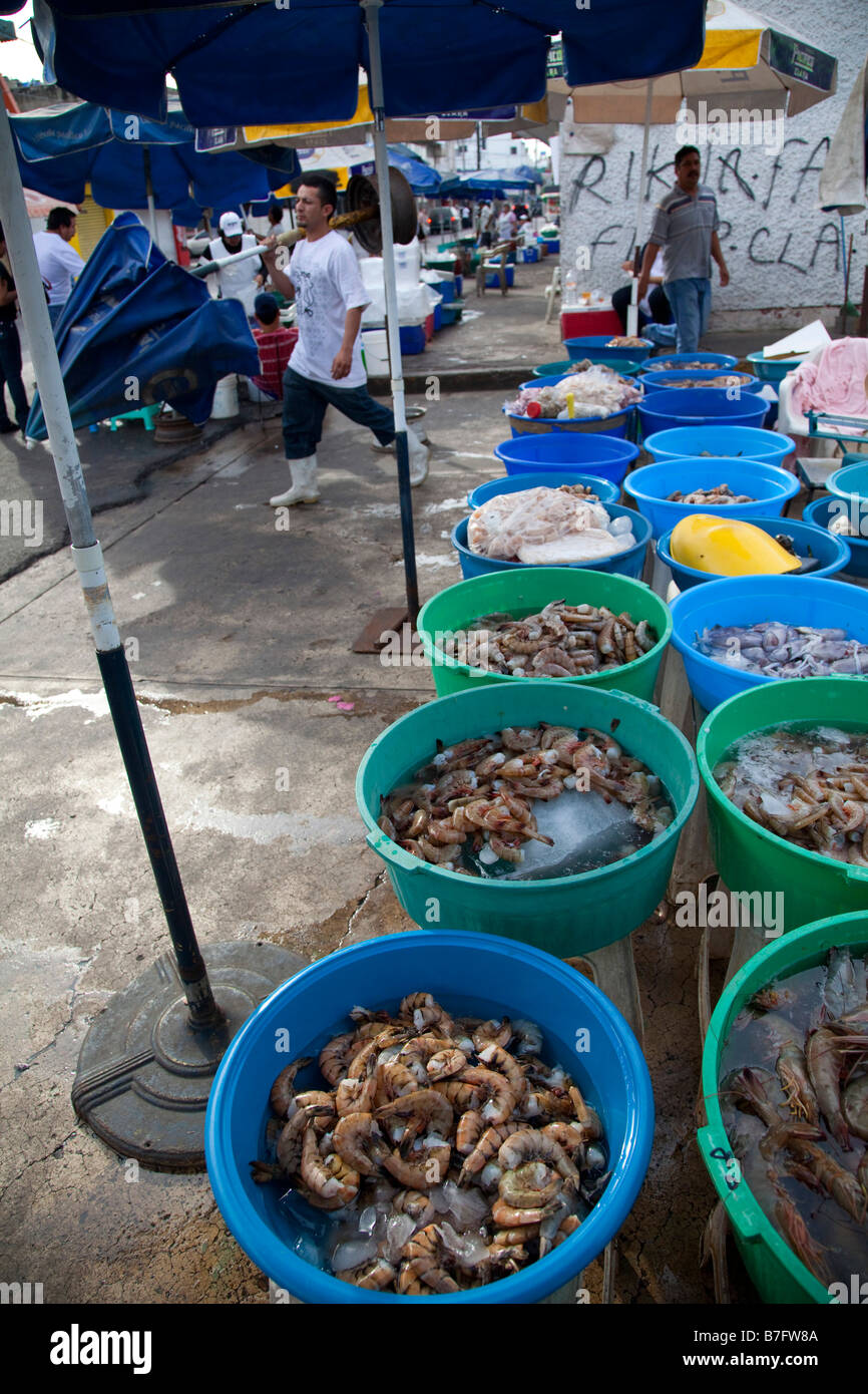 Shrimp and shellfish market Mazatlan Sinaloa Mexico Stock Photo - Alamy