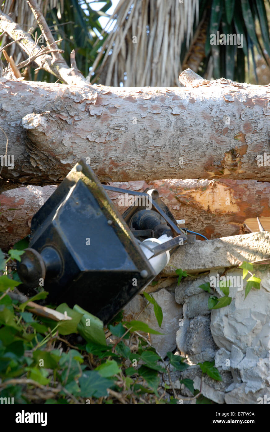 Smashed trunk hi-res stock photography and images - Alamy
