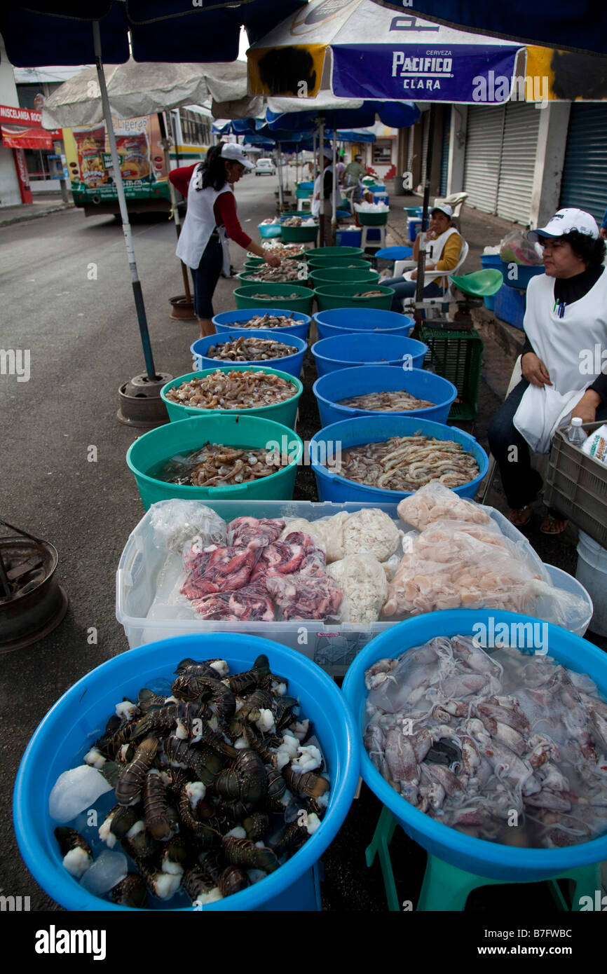 Shrimp and shellfish market Mazatlan Sinaloa Mexico Stock Photo - Alamy